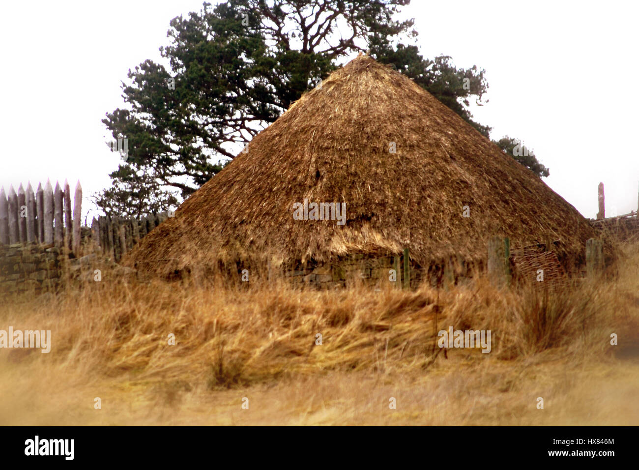 Stone age thatch hut hi-res stock photography and images - Alamy