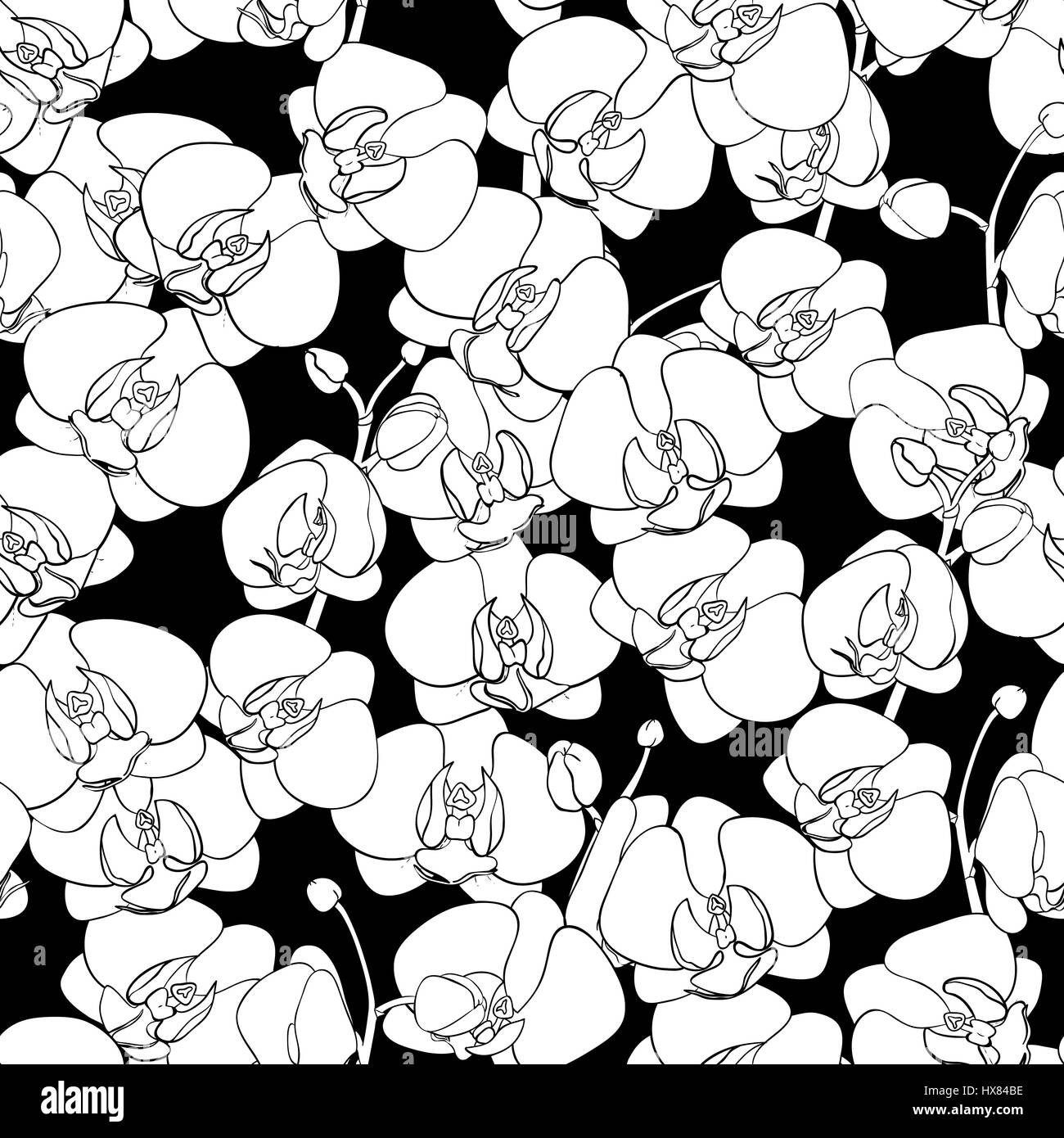 Seamless natural pattern of flowering orchids, painted black outline on ...