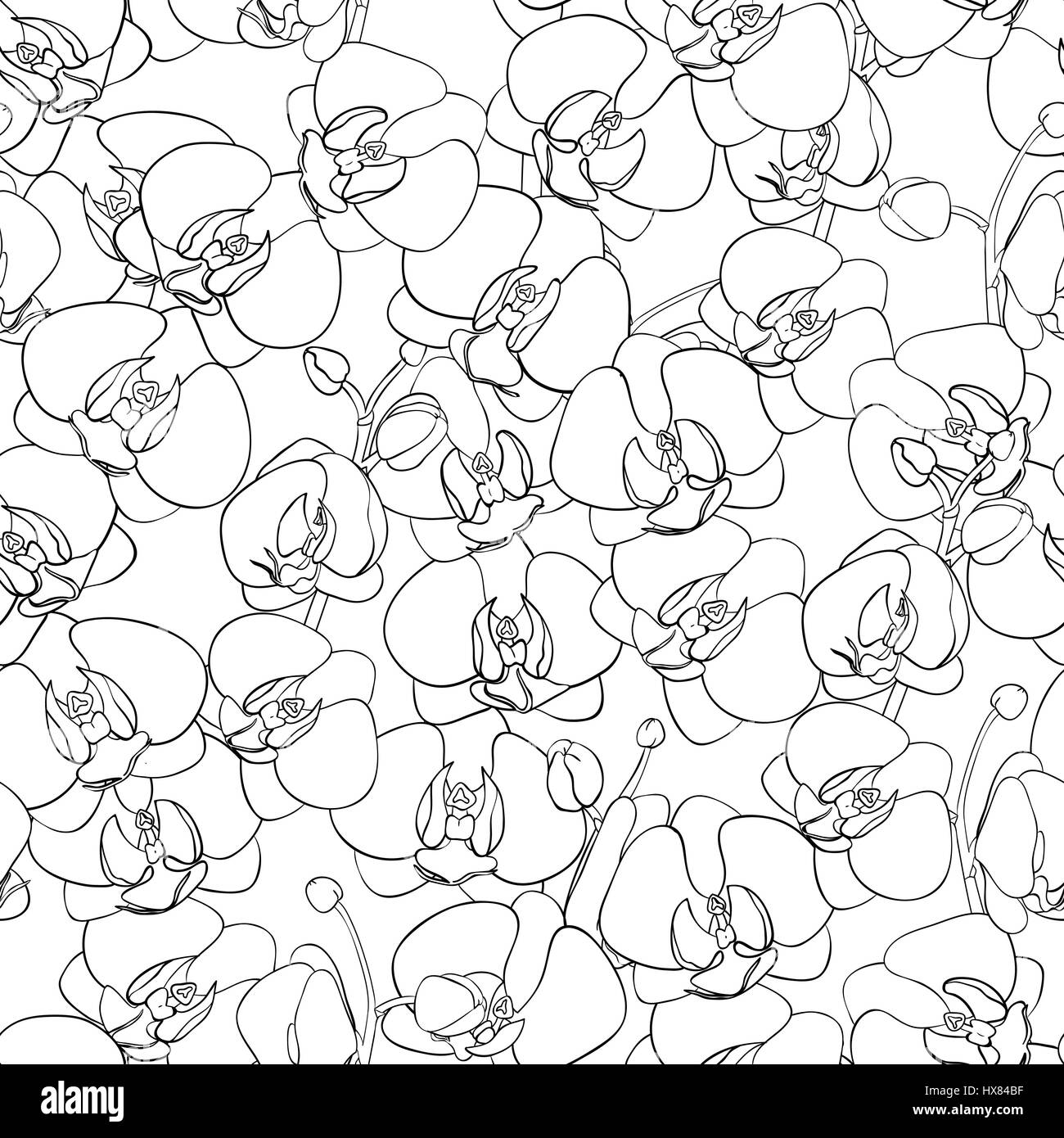 Seamless natural pattern of flowering orchids, painted black outline on ...