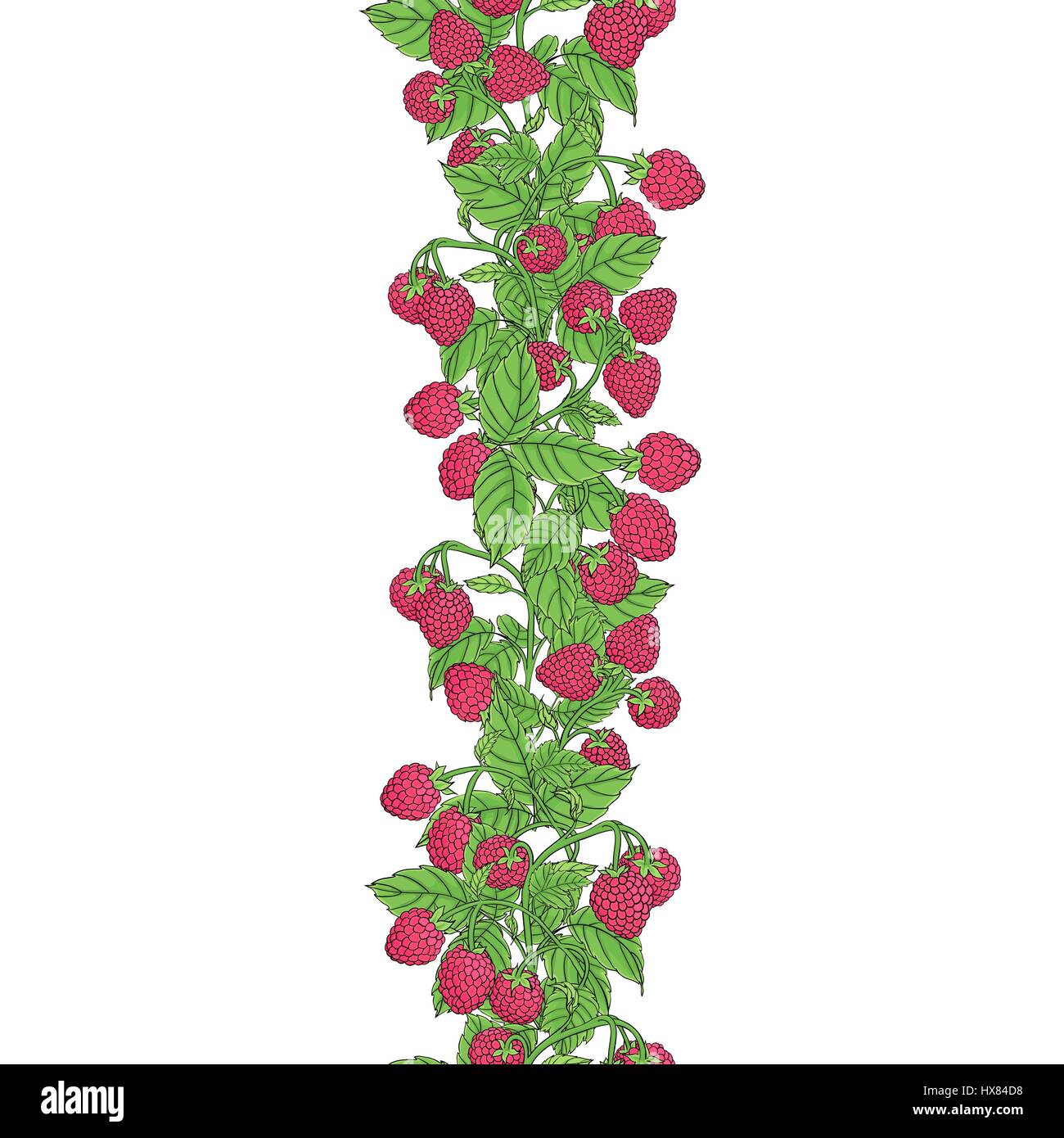 Ripe raspberries isolated Stock Vector Images - Alamy