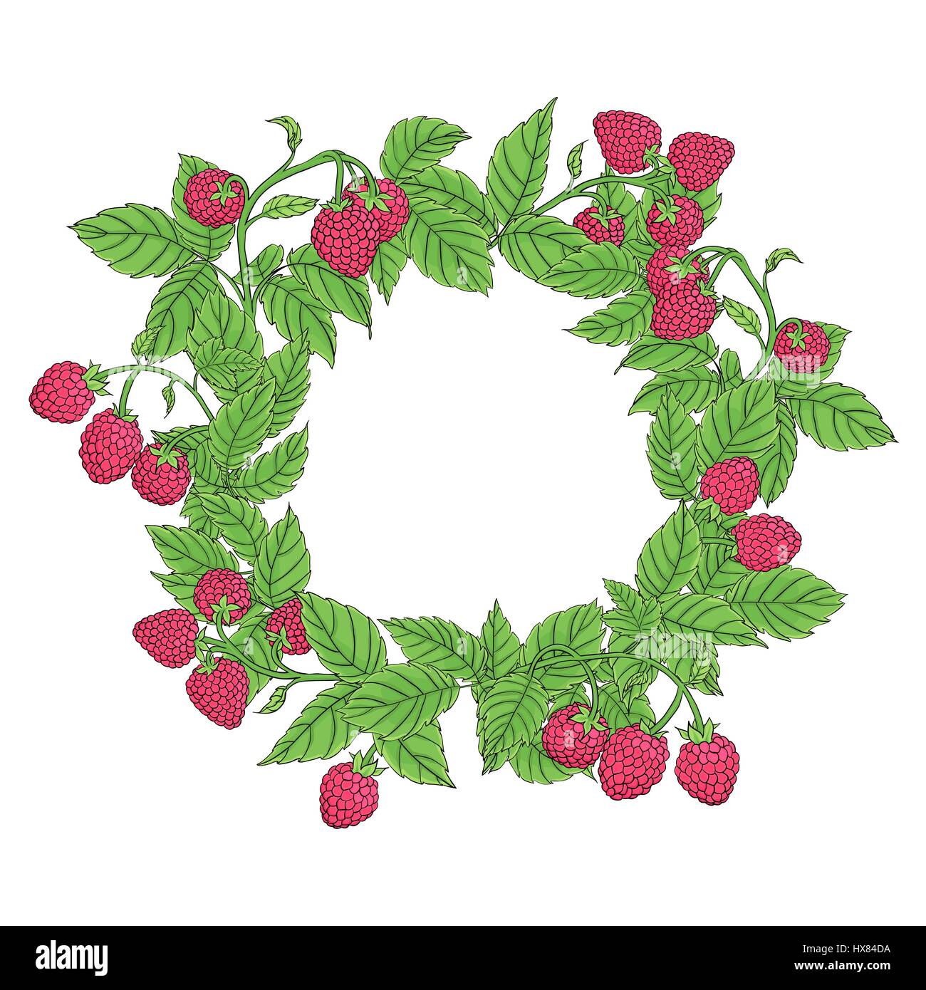 Round wreath or frame of raspberry on branches on a white background ...