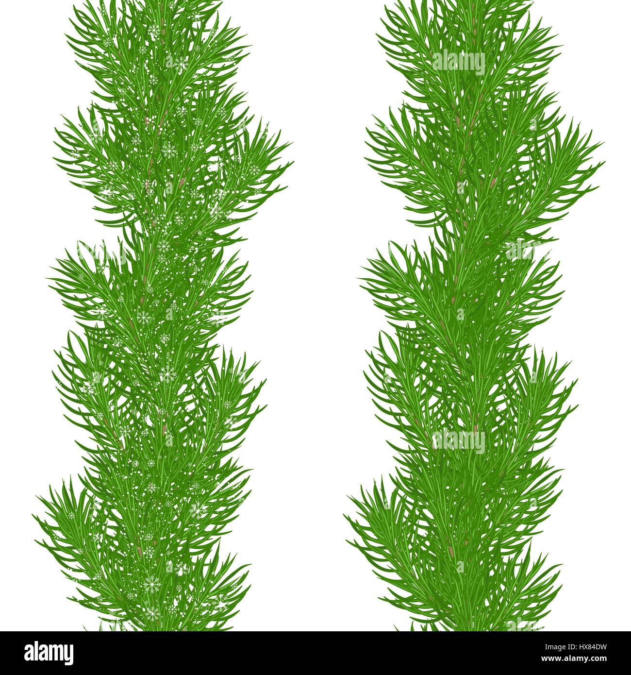Seamless natural borders of spruce on a white background. One of them ...
