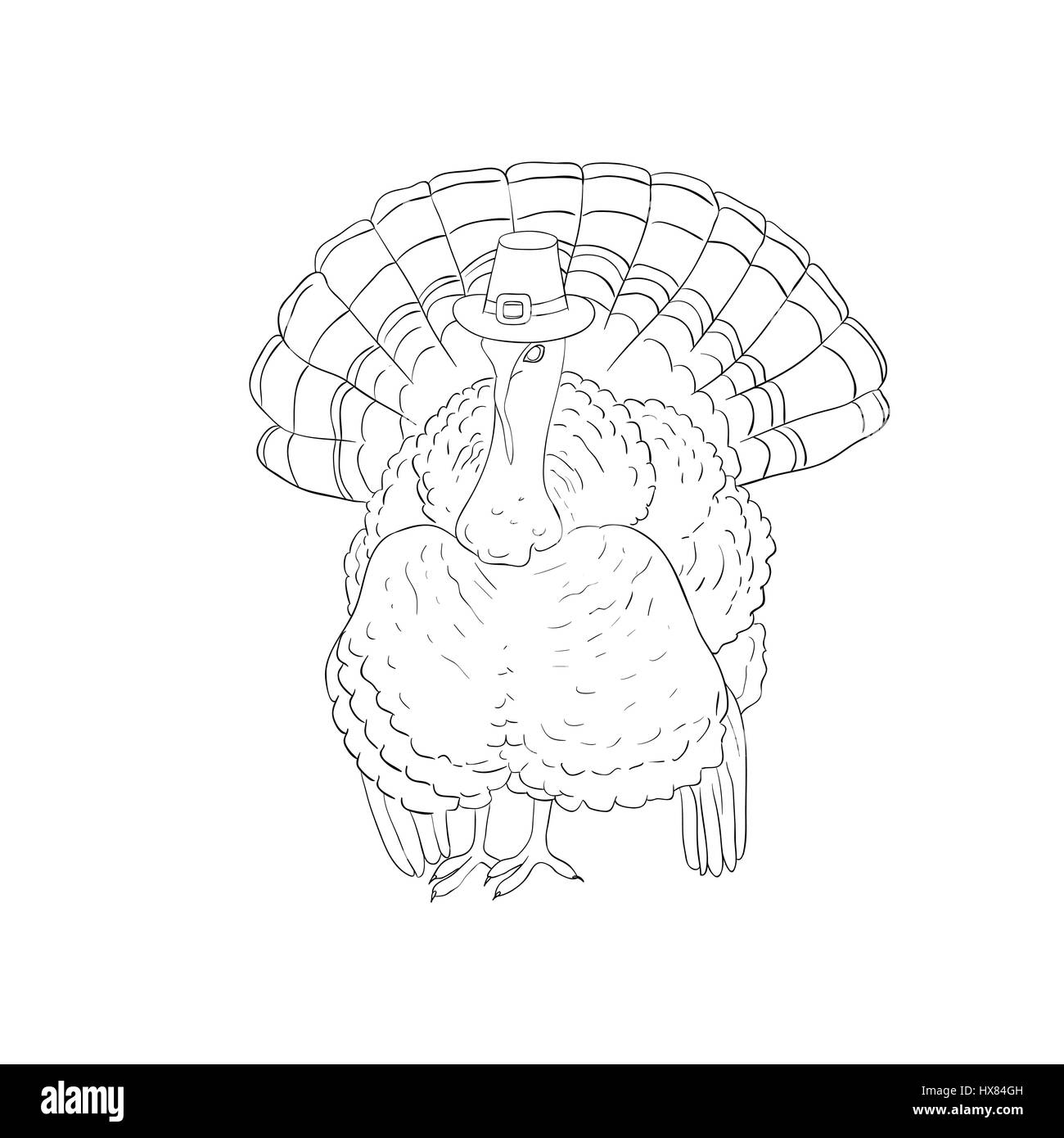 Turkey bird drawing Black and White Stock Photos & Images - Alamy