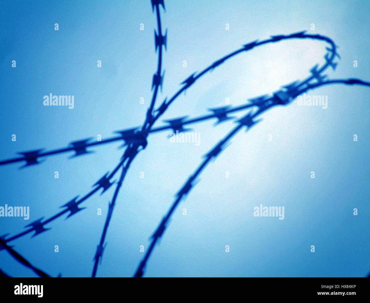Razor wire / Security Stock Photo - Alamy