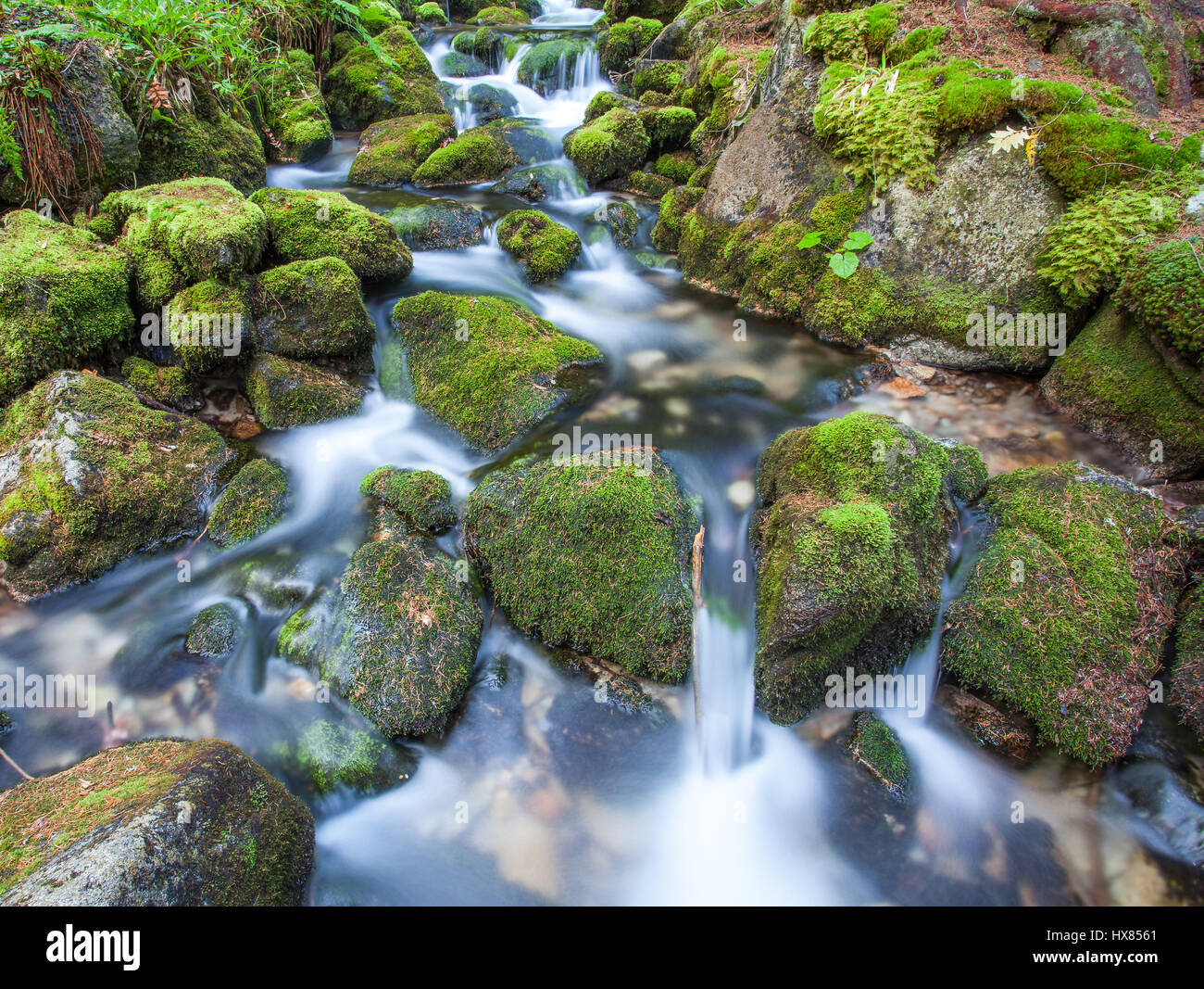 Cloud water logo hi-res stock photography and images - Alamy