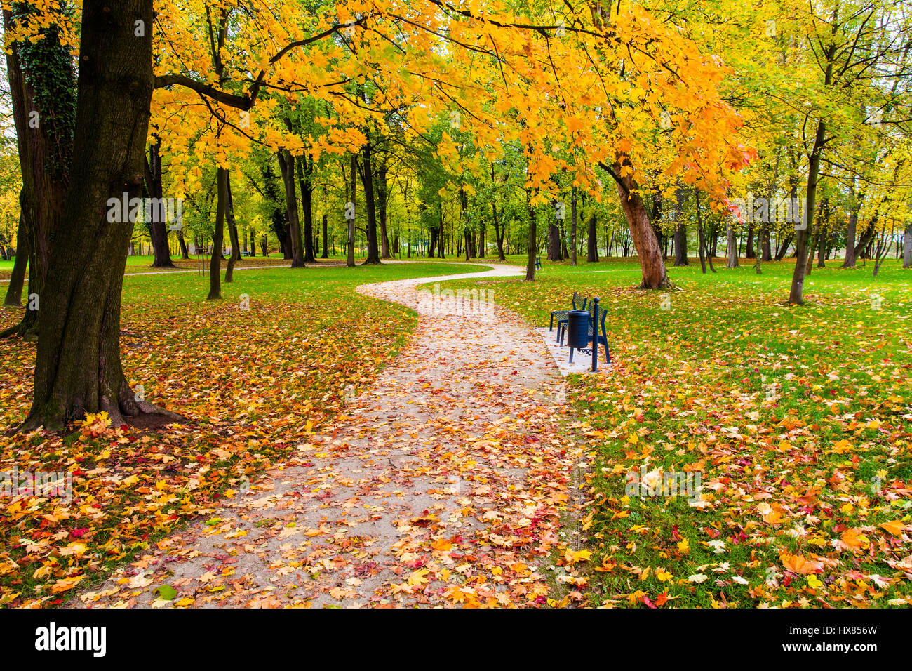 Autumn park with colorful leaves and winding road Stock Photo - Alamy