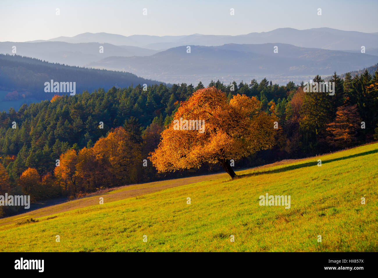 Autumn colors in Sulovske Hills, Slovakia Stock Photo - Alamy