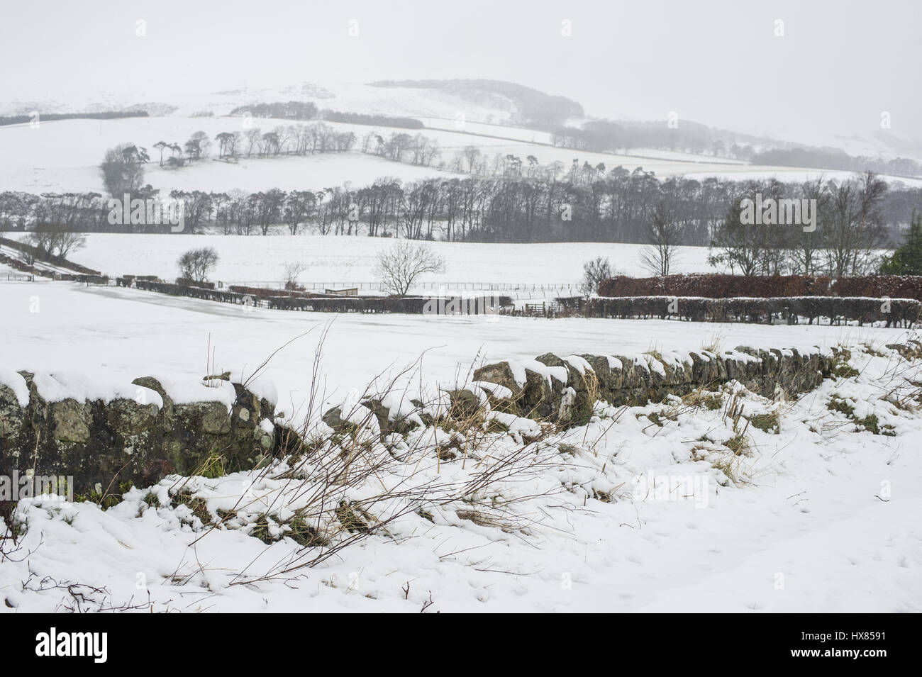 The scottish border hills hi-res stock photography and images - Alamy