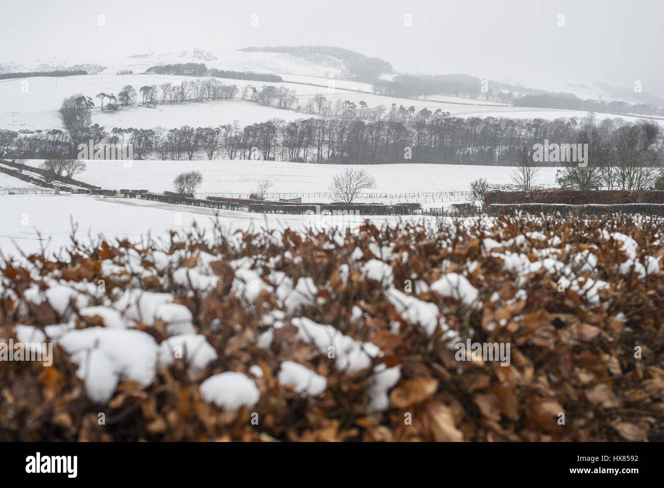 Views from the A702 over Scottish border hills covered in snow from ...