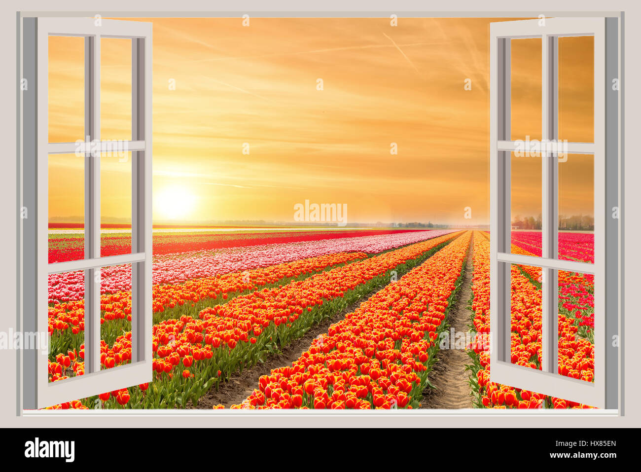 Real flower frame hi-res stock photography and images - Alamy
