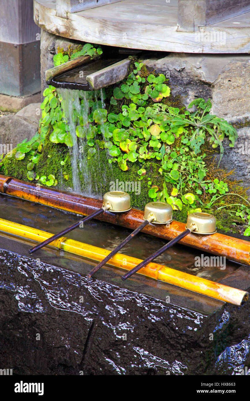 Jindaiji Temple Chofu city Tokyo Japan Stock Photo - Alamy