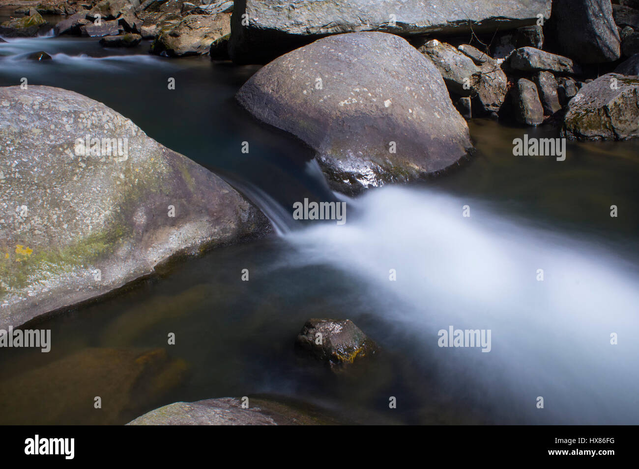 Direct sun exposure hi-res stock photography and images - Alamy
