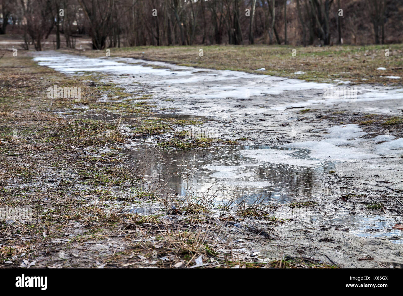 On the path in the park slush, puddle, snow Stock Photo - Alamy
