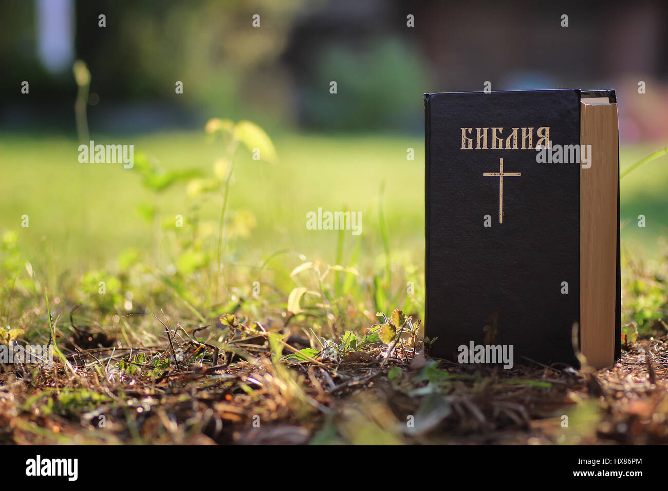 inscription on the book of the Bible Bible with cross in natur Stock ...