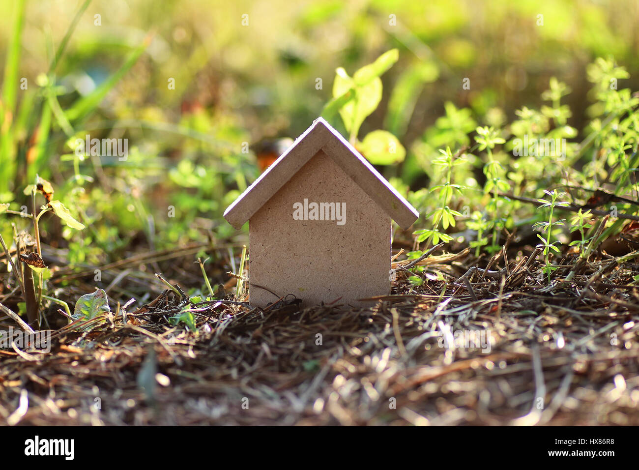 figure house in nature Stock Photo - Alamy