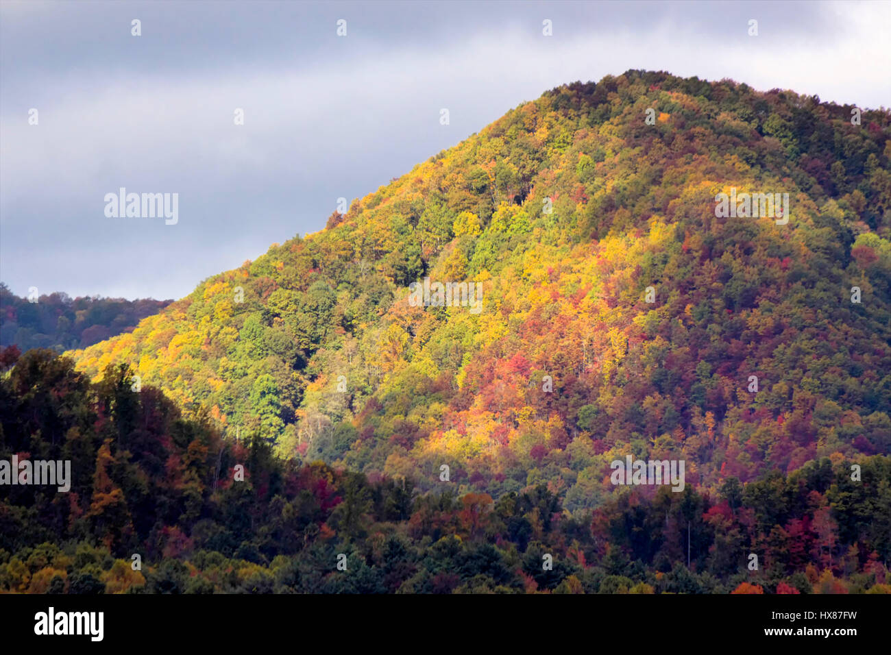 Fall color in blue ridge mountains hi-res stock photography and images ...
