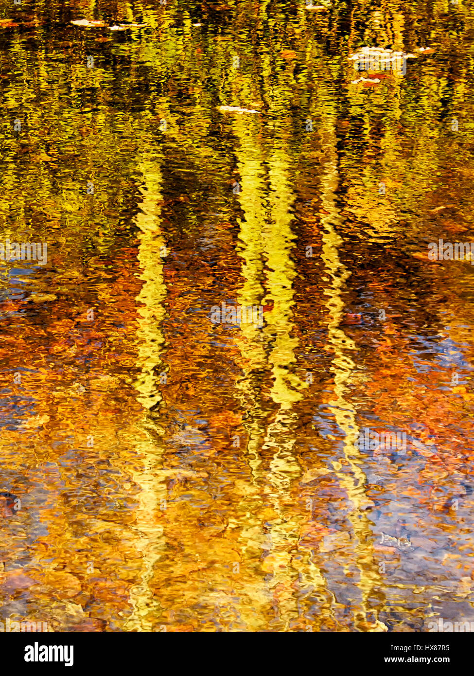Monet-like reflection of fall trees in pond Stock Photo - Alamy