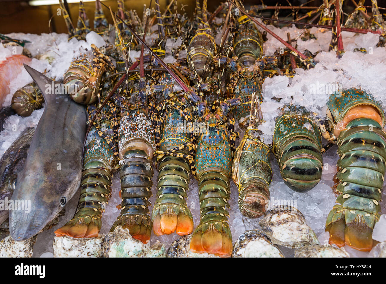 Lobster claw seafood restaurant hi-res stock photography and images - Alamy