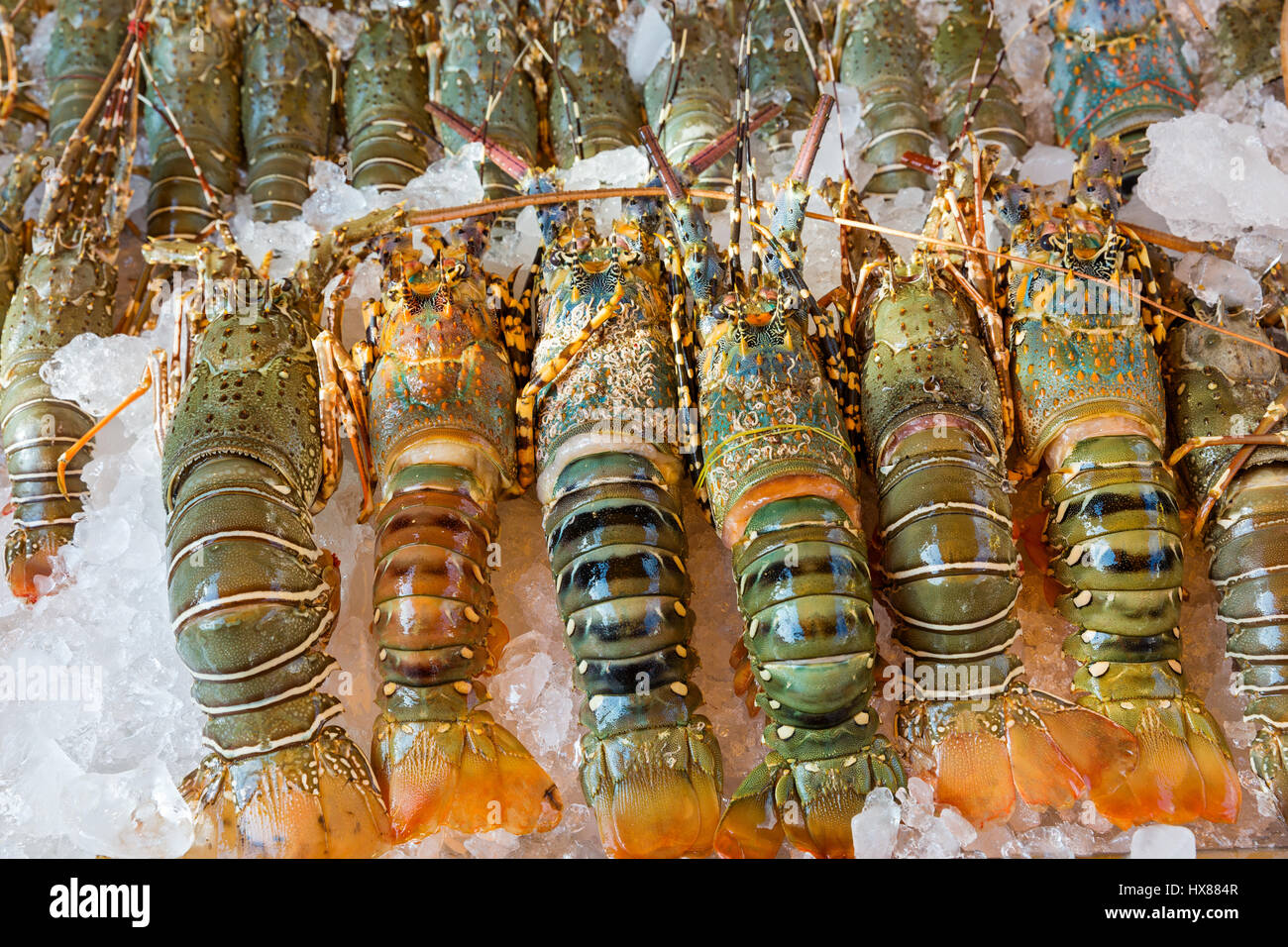 Row of lobster and seafood on ice restaurant Stock Photo - Alamy