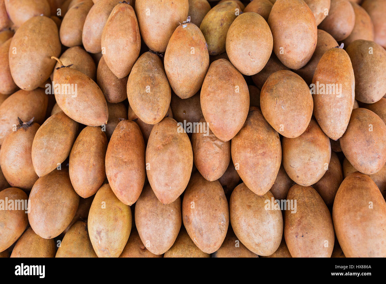 Large heap of lamuts on the market Stock Photo - Alamy
