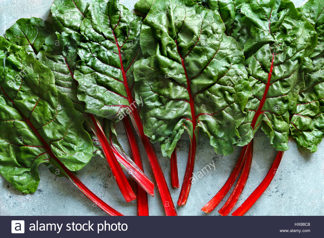 Red Chard Leaves Stock Photos & Red Chard Leaves Stock Images - Alamy
