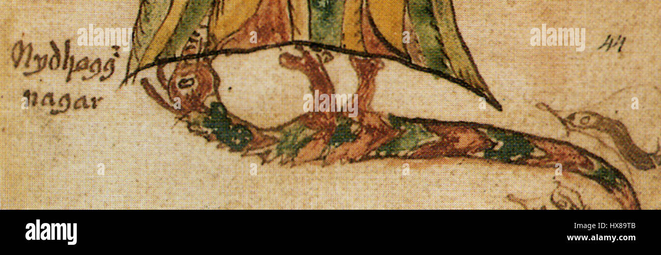 Nidhogg hi-res stock photography and images - Alamy