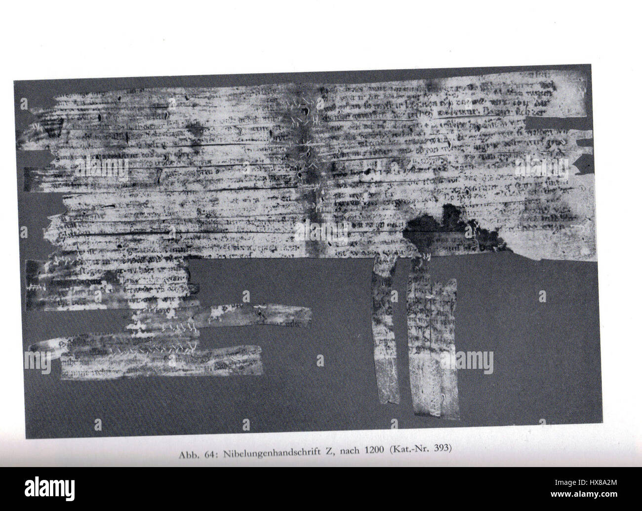 13th century manuscript nibelungenlied hi-res stock photography and ...