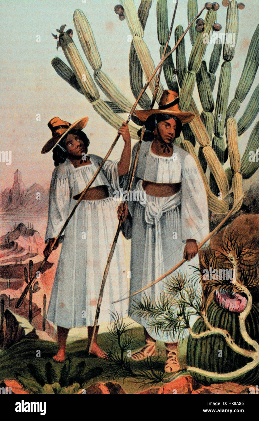 The 'Papagos' illustration in William H. Emory's 1857 report depicts ...