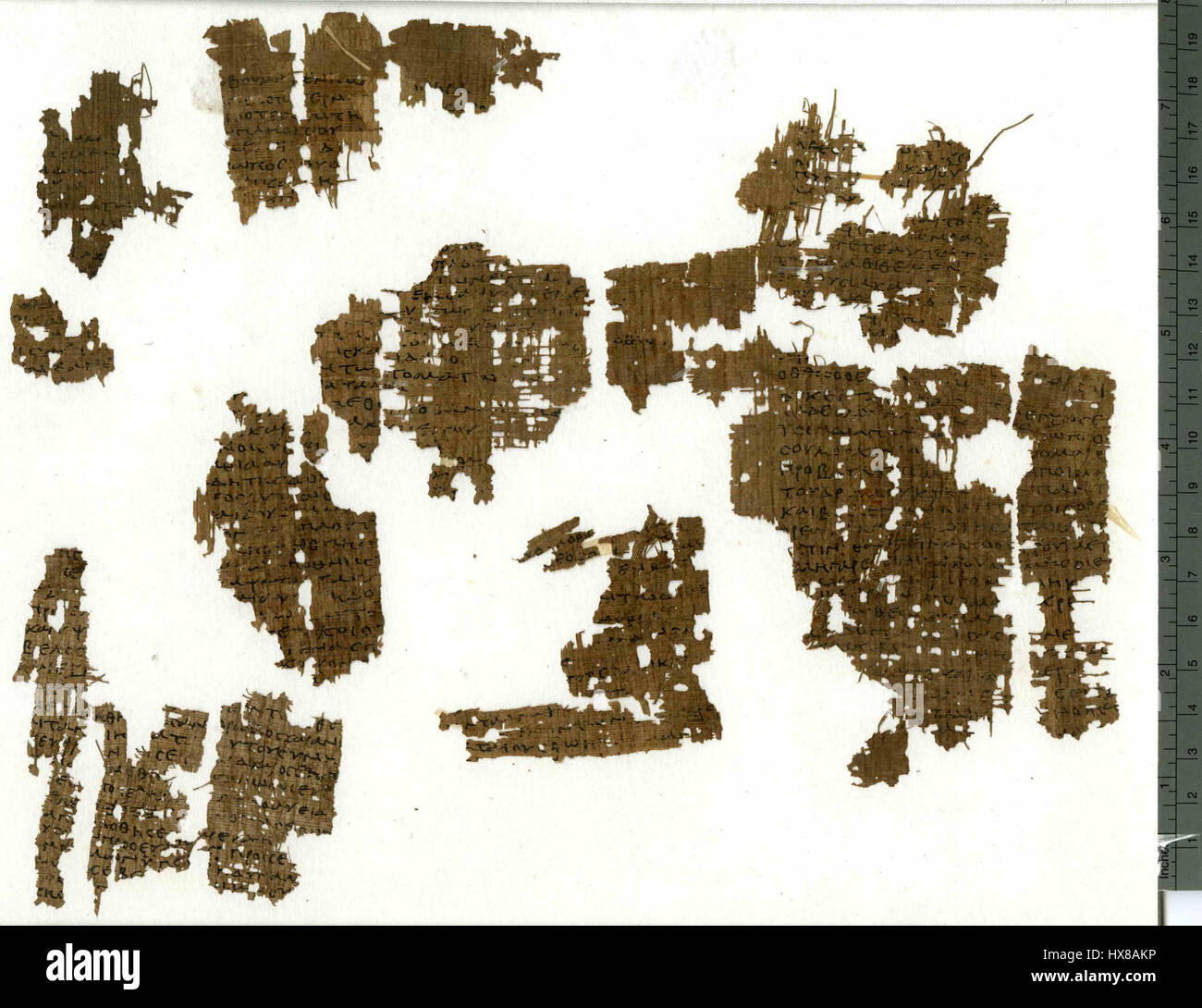 POxy LXXVII 51014 is an ancient papyrus fragment that contains a text ...