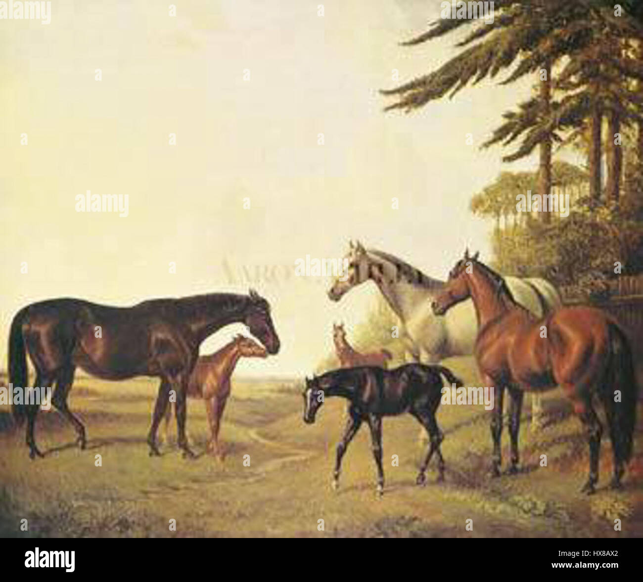 The painting 'Pocahontas and Stockwell' depicts the famous Powhatan ...