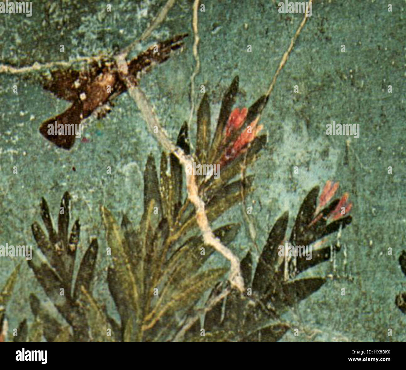 Pompeii floor tiles hi-res stock photography and images - Alamy