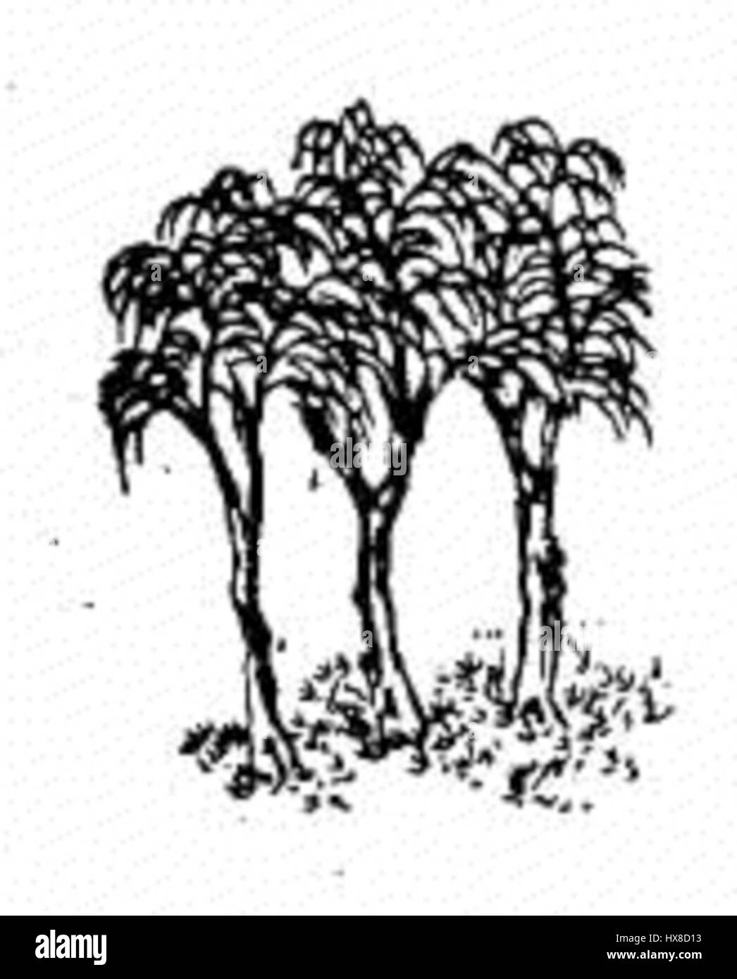 Tbt design Black and White Stock Photos & Images - Alamy