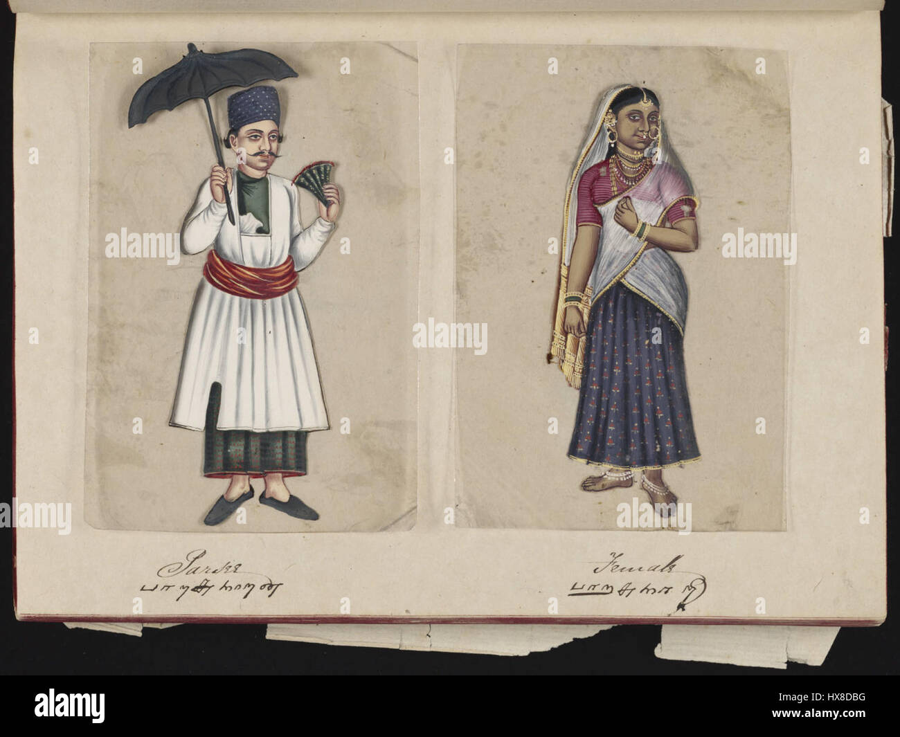 Specimen illustrates hi-res stock photography and images - Alamy