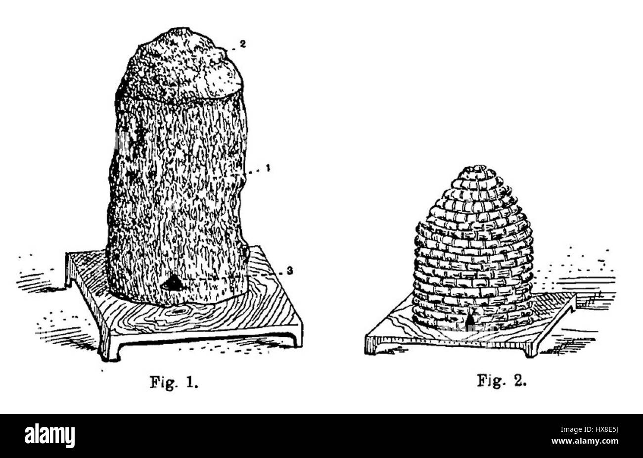 Field of visual arts Cut Out Stock Images & Pictures - Alamy