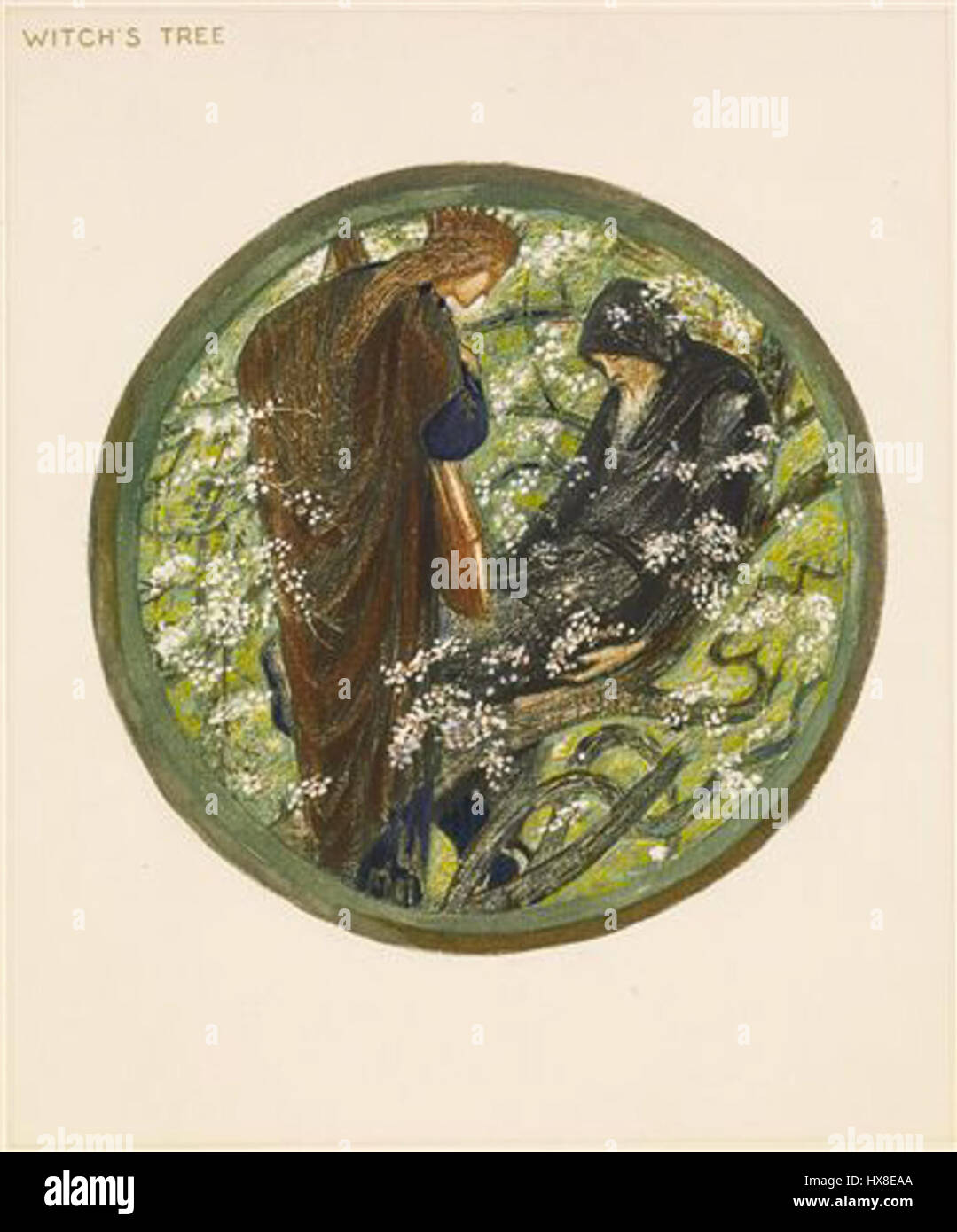 *The Flower Book Witch's Tree* is a botanical illustration focusing on ...