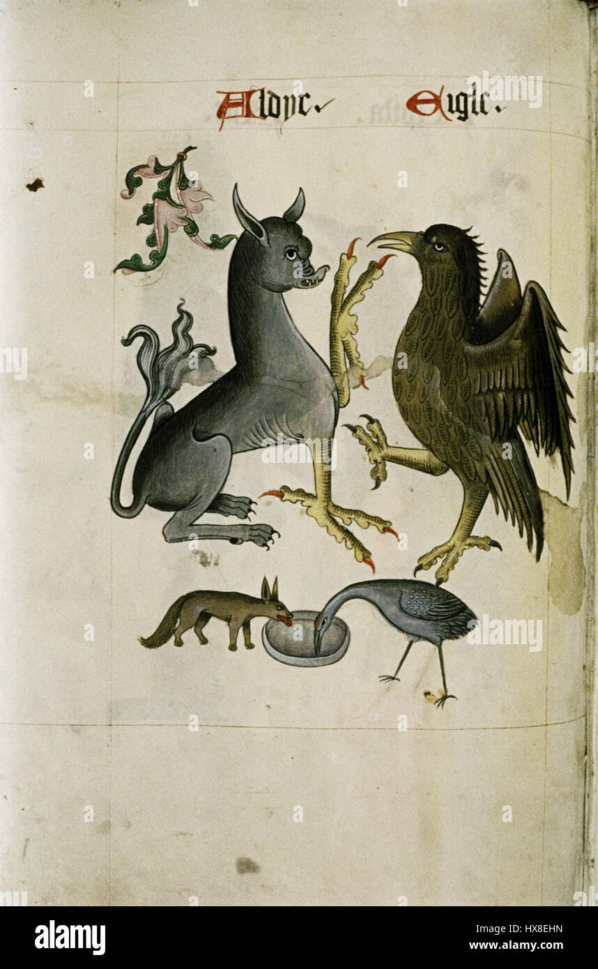 The Tudor pattern book MS. Ashmole 1504 56 is a historical manuscript ...