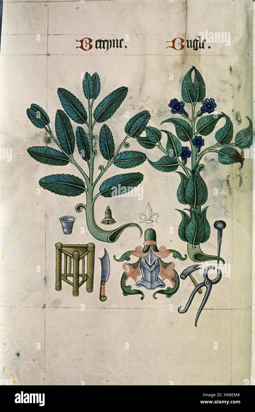 The Tudor pattern book MS. Ashmole 1504 05 is a manuscript that ...