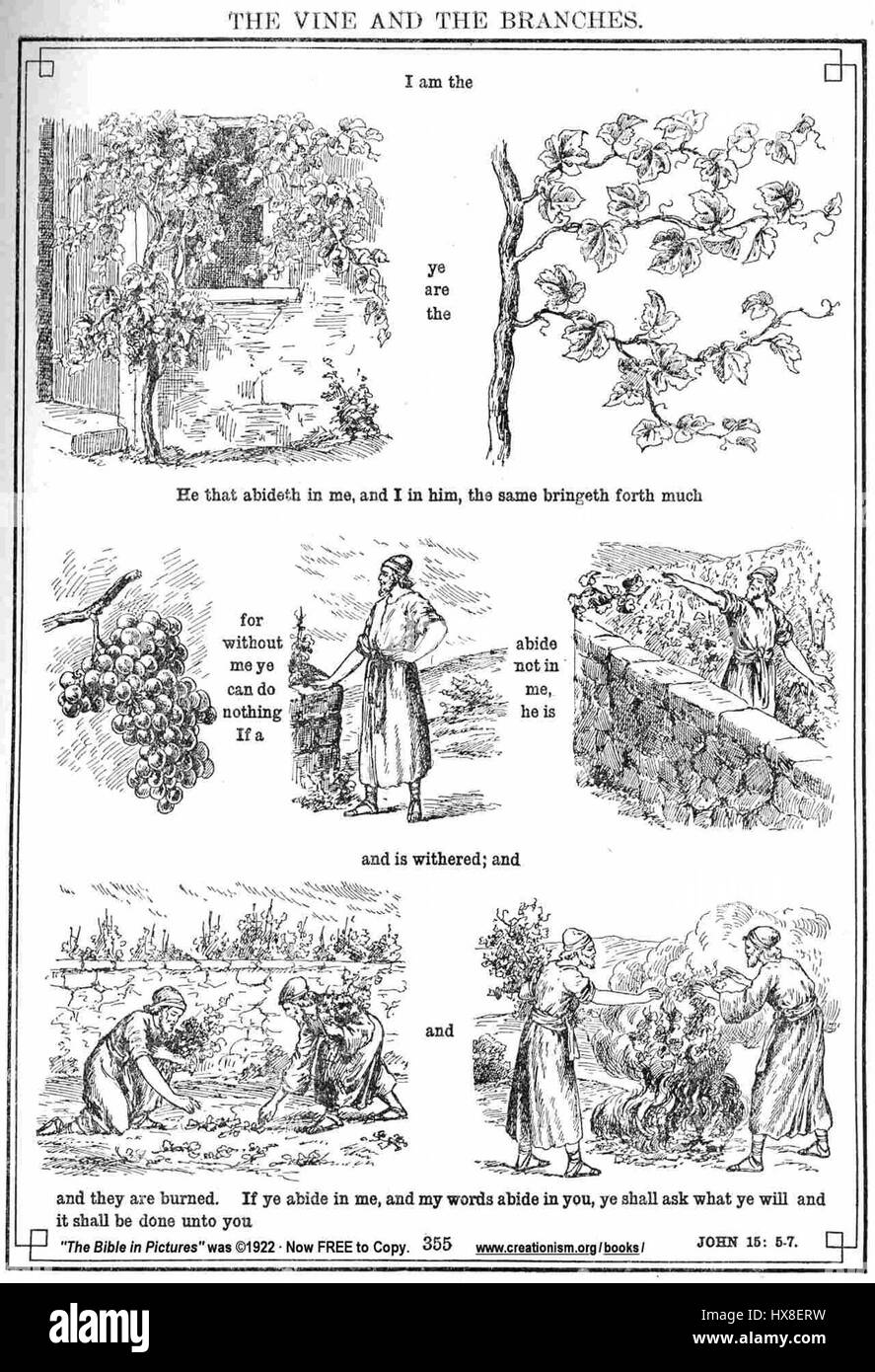 'The Vine and the Branches' Parable depicts the biblical teaching of ...