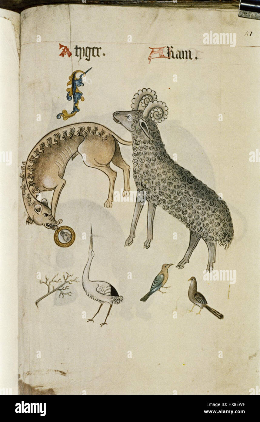 The Tudor Pattern Book (MS. Ashmole 1504) is a manuscript from the ...