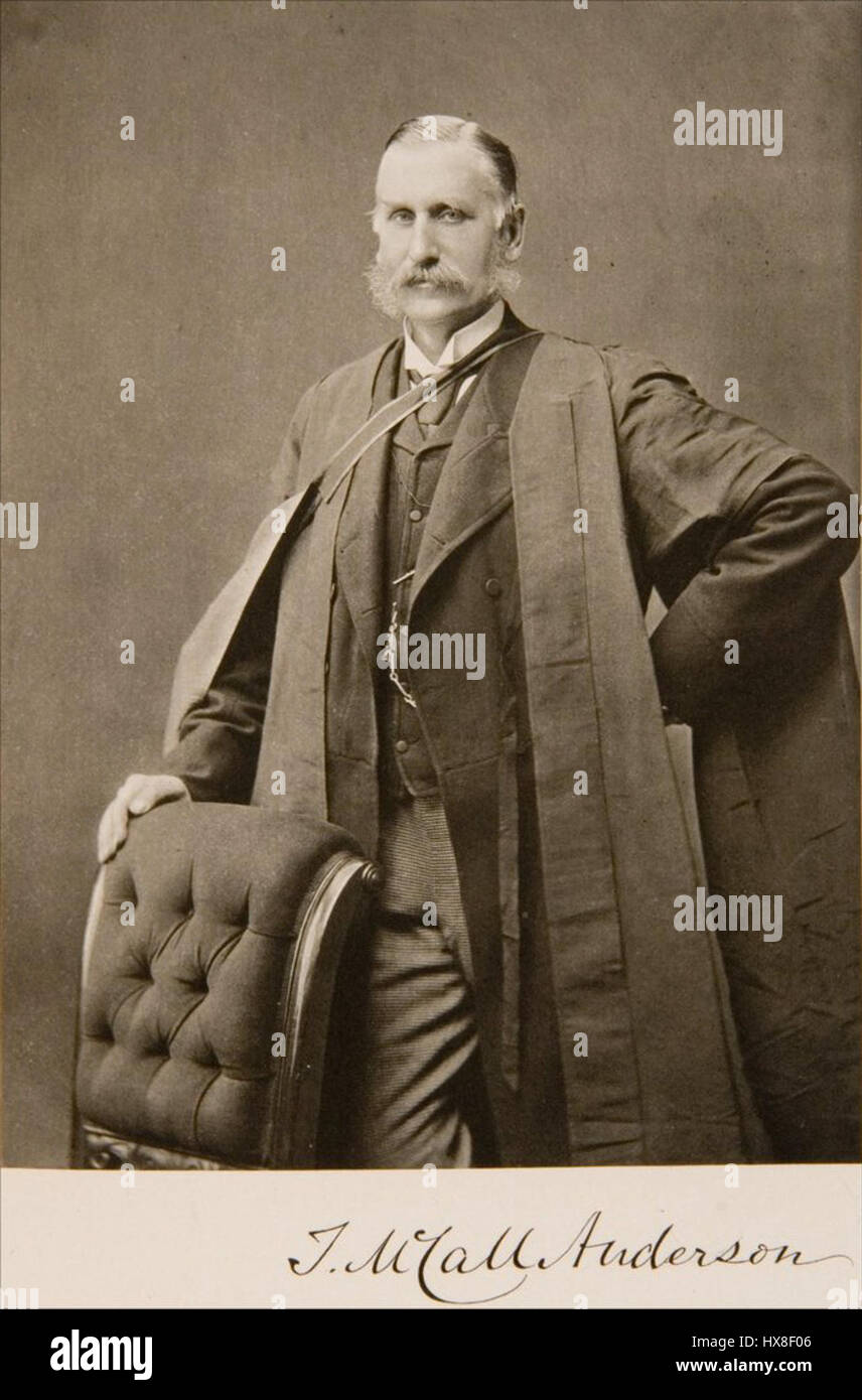 Thomas mccall anderson Stock Photo - Alamy