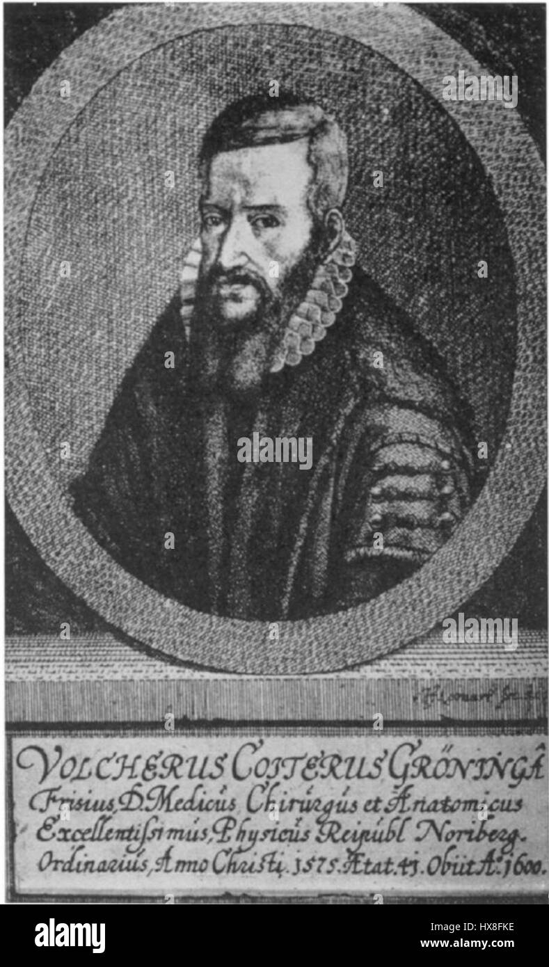 Volcher Coiter was a 16th-century Flemish physician and naturalist ...