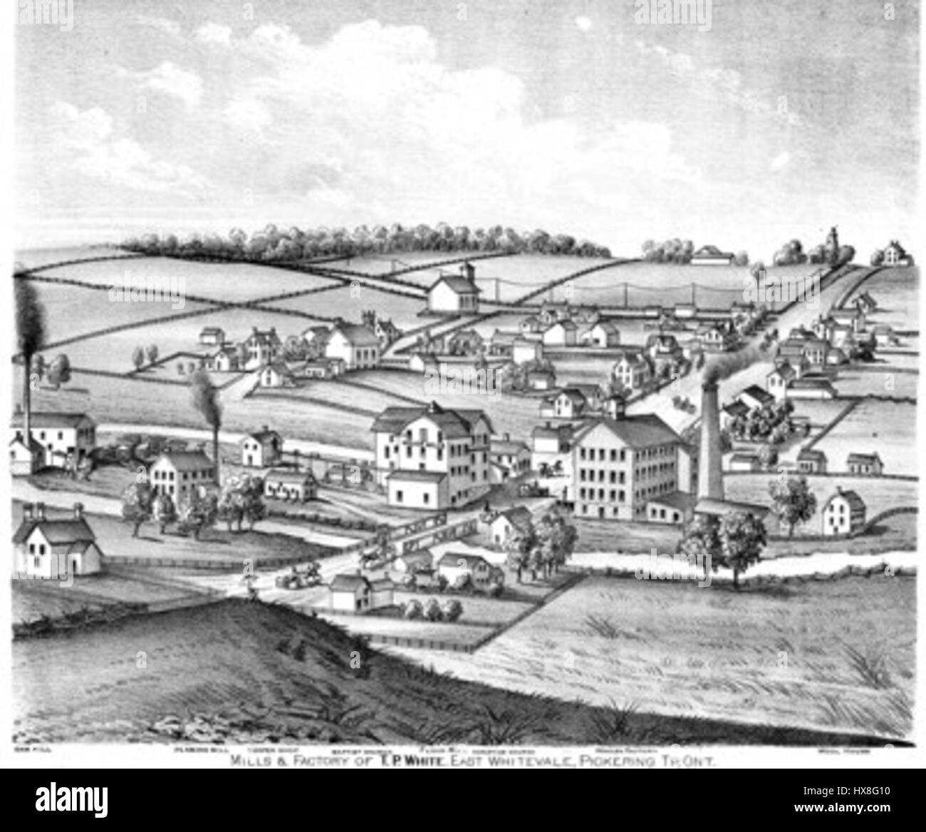 The Whitevale Map is a historical cartographic document that depicts ...