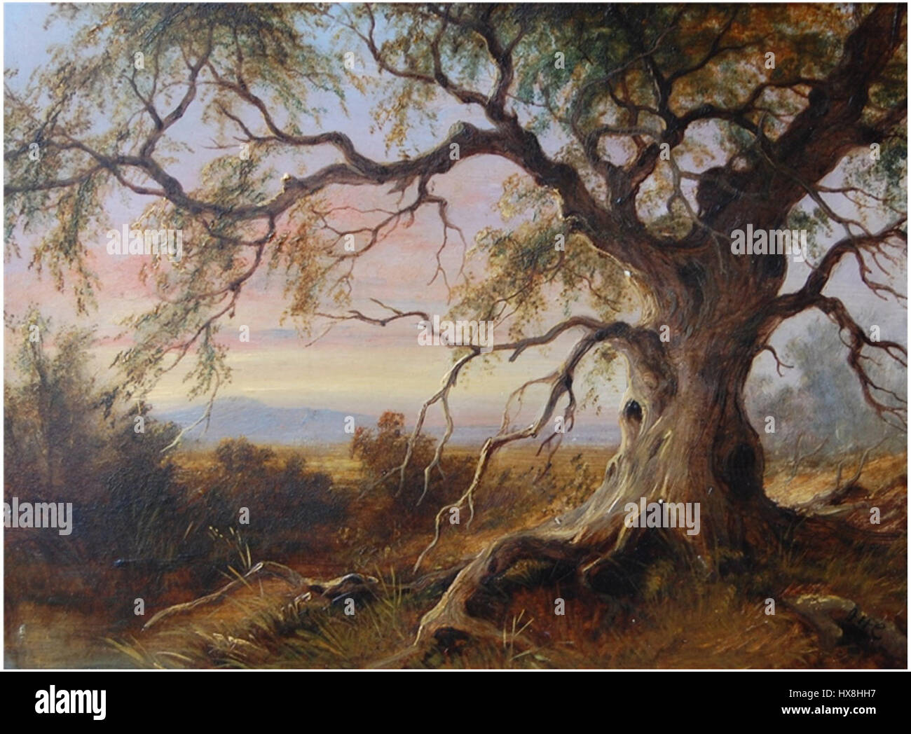 'Old Gum Tree Riddells Creek' by JH Carse depicts a serene rural ...