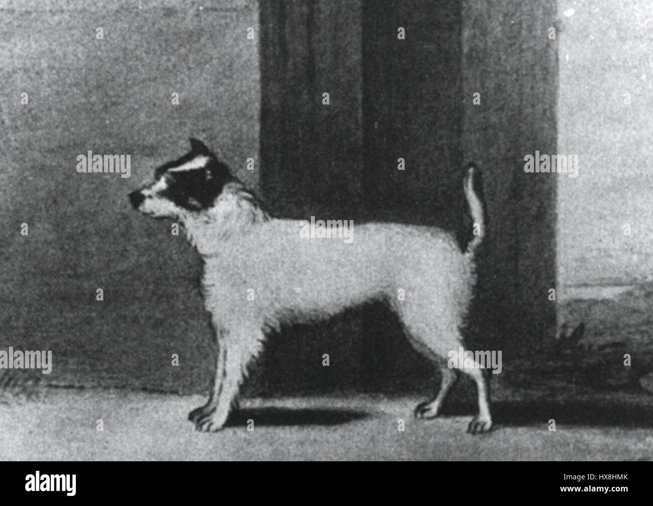 Trump scan hi-res stock photography and images - Alamy