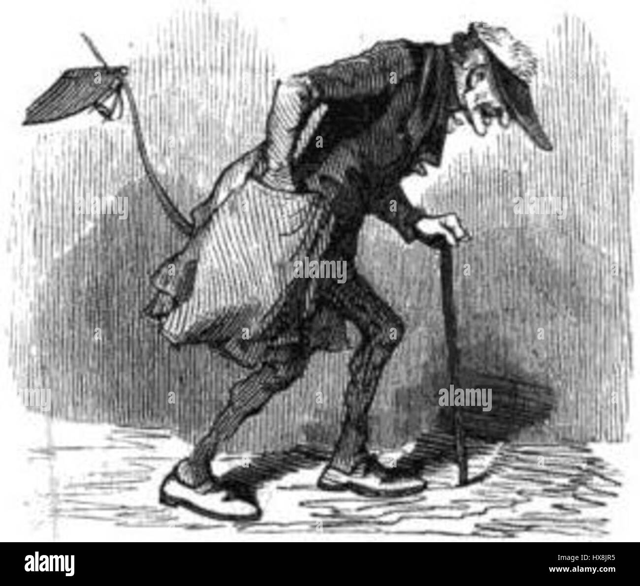 Living systems Black and White Stock Photos & Images - Alamy