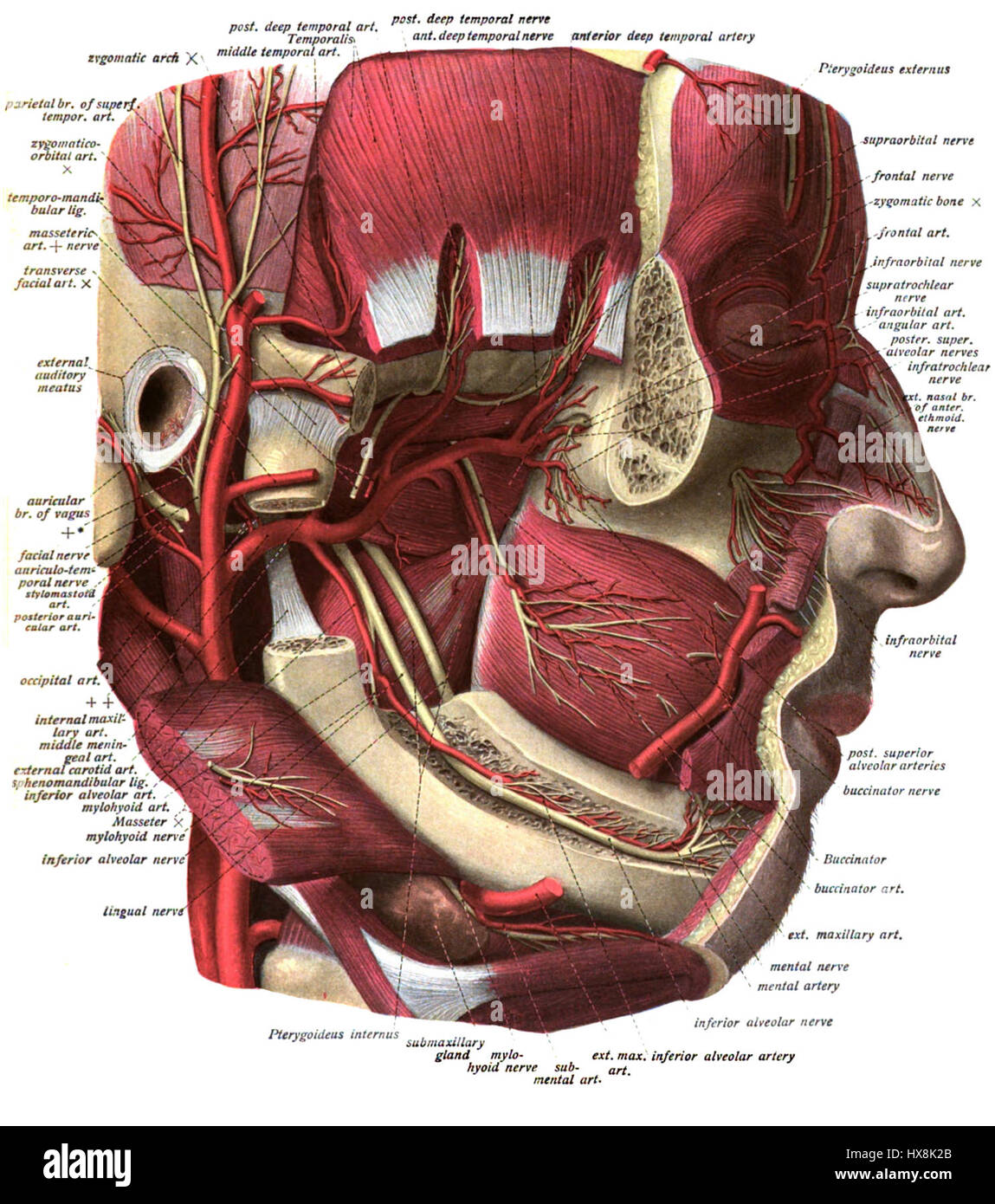 Sobo’s 1909 work, '543,' is a powerful example of early 20th-century ...