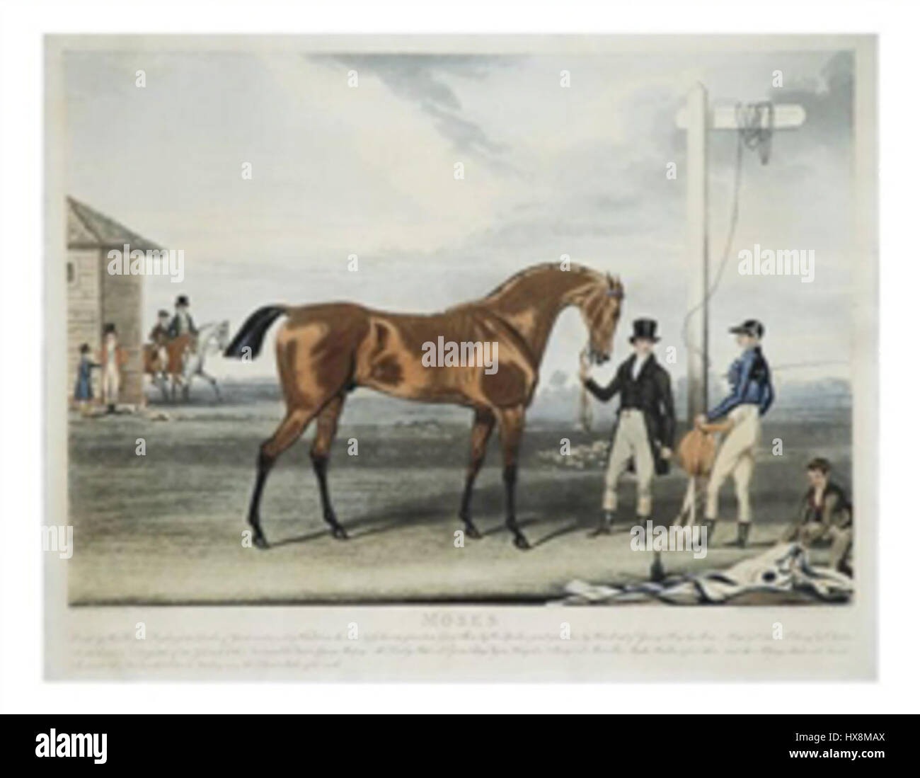 Moses Derby was a celebrated winner in the sport of horse racing, known ...