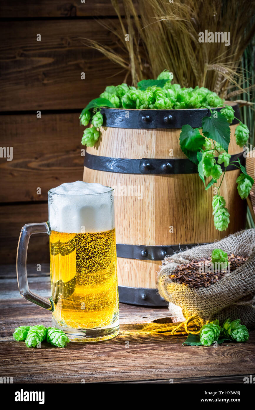 Golden color light beers hi-res stock photography and images - Alamy