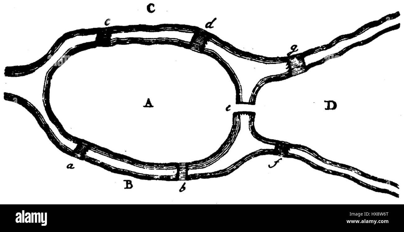 This image represents a historical perspective of the Seven Bridges of ...