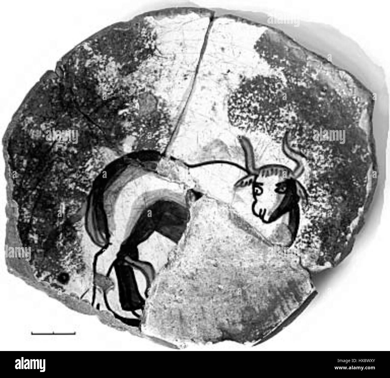 A Russian diary from 1917-1919, offering a firsthand account of ...